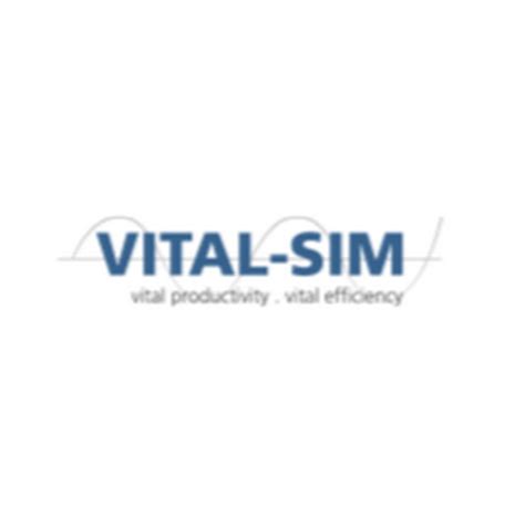 Vital Sim Inc Youtube