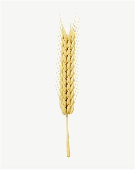 3d Wheat Branch Collage Element Premium Psd Rawpixel
