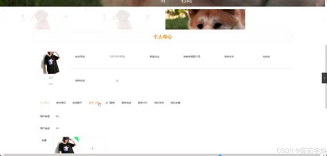 Springboot毕设基于web的同城上门喂遛宠物管理系统论文程序部署 Csdn博客