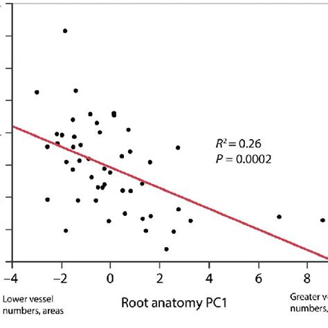 Principal Component Analysis Of 12 Fine Root Traits And Six Leaf Traits Download Scientific