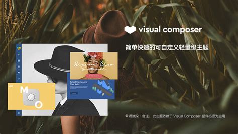 Visual Composer Starter 主题 薇晓朵网络工作室