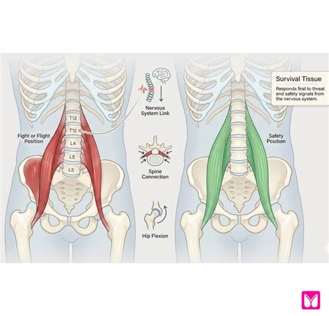 Somatic Yoga 5 Reasons Your Gentle Practice Is Failing You