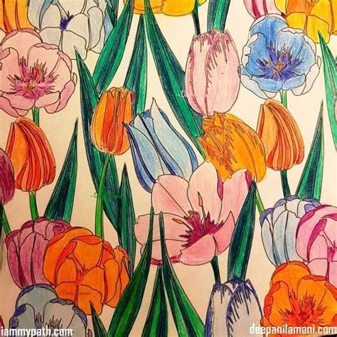 Colouring Deepa Nilamani