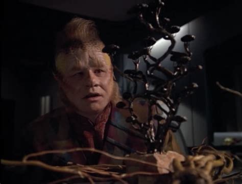 Nancy Hower Wildman Archives Lets Watch Star Trek