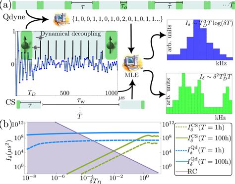 A Depiction Of Qdyne And Correlation Spectroscopy Cs Experimental