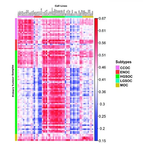 correlation matrix comparing similarity of cell line models to primary
