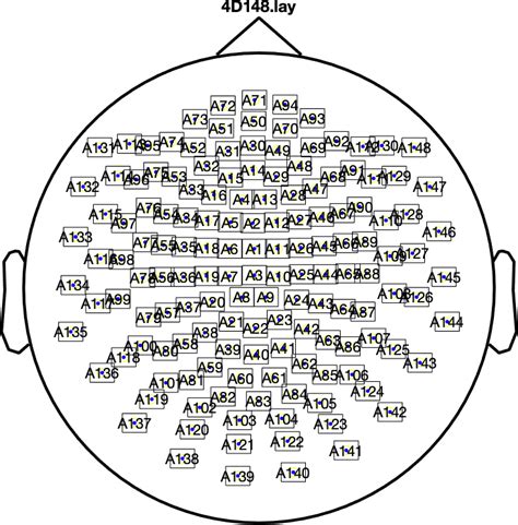 Template D Layouts For Plotting FieldTrip Toolbox
