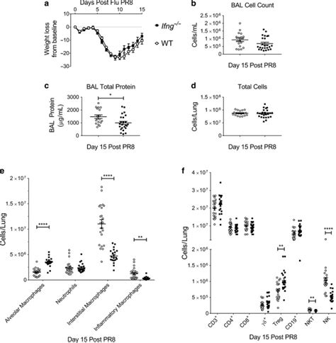 effects of ifn‐γ on immune cell kinetics during the resolution of acute