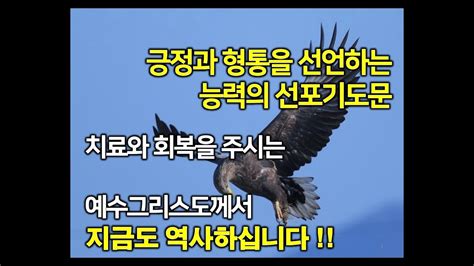 능력의 선포기도 인생을 변화시키는 긍정의 말씀선포 모음 내게 능력주시는 자 안에서 모든 것을 할 수 있느니라~ 긍정의 선포기도문따라하는 기도 Youtube