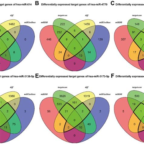 The Venn Diagram Of The Target Genes Of The Six Tds Related Demis The