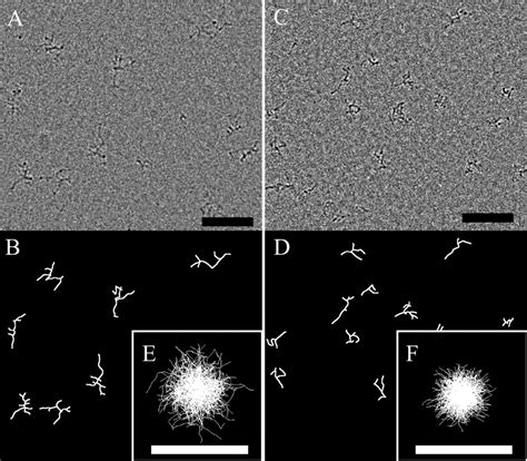 Visualizing Large RNA Molecules In Solution
