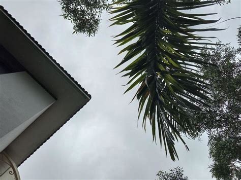 Xiaomi Redmi Prime Review