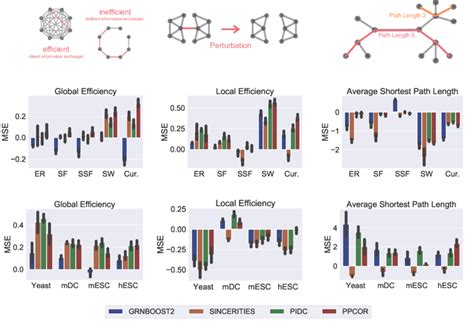Results Of The Topological Benchmarking Of Grn Inference Algorithms