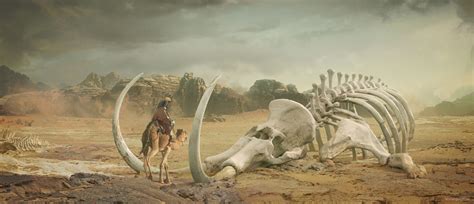 The Art Of Daniel Romanovsky