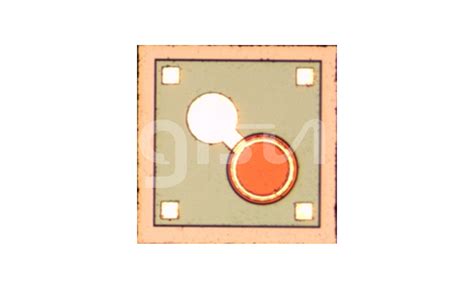 PIN Photodiode Chip PIN Photodiode Detector Chips GLSUN