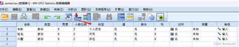 基于pyreadstat写入spsssav文件写入详解 Csdn博客