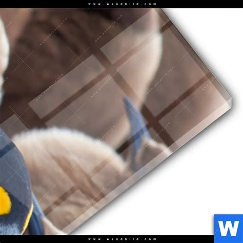 Acrylglasbild ♥️ Königspinguine Schmal