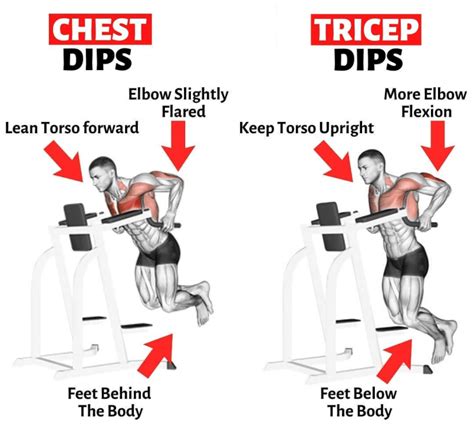 Chest Dips Vs Triceps Dips Muscles Worked And Form Fitnessvolt