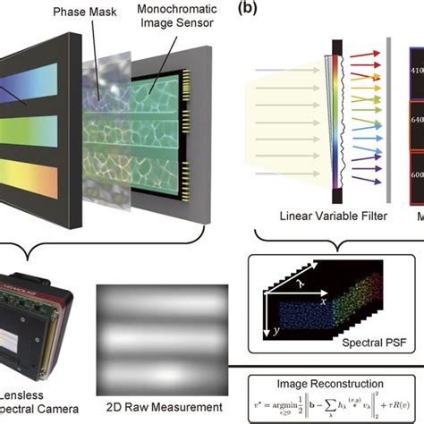 Device Structure And The Working Principle Of Our Lensless