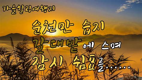 가을 힐링여행지 순천만 습지 갈대밭에 스며 잠시 쉼표를 Youtube