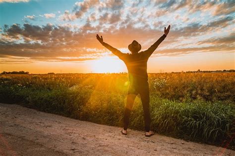 30 Kostenlose Frei Jung Und Frei Bilder Pixabay