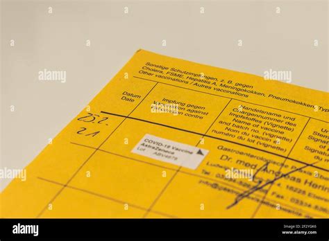 Excerpt From The International Vaccination Certificate Yellow Id Card