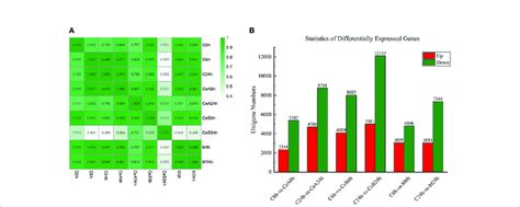 A Pearson Correlation Coefficients Of All 9 Samples The Expression