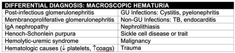 Post Infectious Glomerulonephritis Core EM