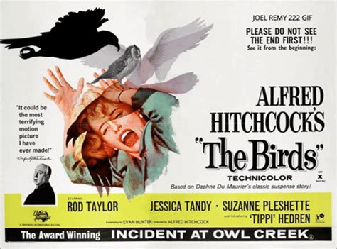 Tippi Hedren Clips Find And Share On Giphy