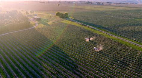 Robotics Plus Launches Prospr As A Multi Use Autonomous Vehicle For Agriculture Australasian