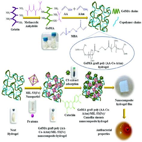 The Scheme Showing The Synthesis Of Download Scientific Diagram