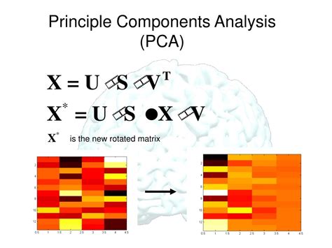 Ppt Pattern Recognition And Multivariate Methods For Fmri Analysis