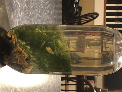 A Closed Ecosystem 9 Steps Instructables