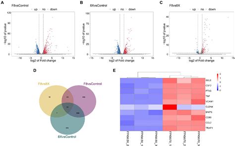 Frontiers Comparative Transcriptomic Analyzes Of Human Lung Epithelial Cells Infected With