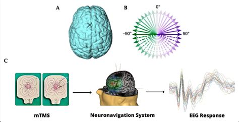 A The Stimulation Site On The Left Pre Sma Is Indicated On The Brain