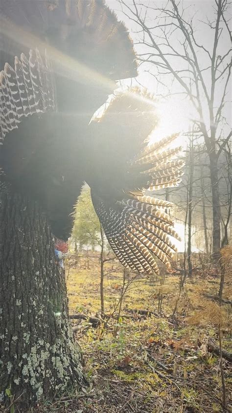 Joe Weimer Media Joeweimermedia • Instagram Photos And Videos