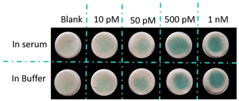 paper based colorimetric detection of mirna 21 using pre activated