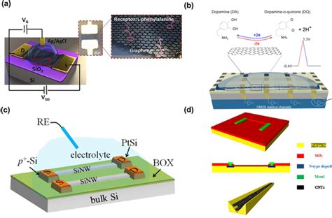Ion‐sensitive Field‐effect Transistors Isfets With 2d And A Variety