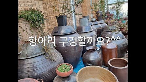 민속품 항아리 고재 기와 석물 연못돌 Youtube