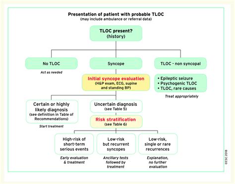 Flow Diagram For The Initial Evaluation And Risk Stratification Of Download Scientific Diagram