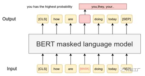 掌握 Bert：自然语言处理 Nlp 从初级到高级的综合指南（1） 腾讯云开发者社区 腾讯云