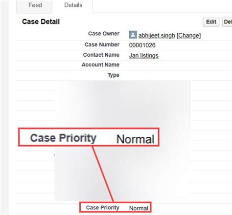 CASE Function In Salesforce