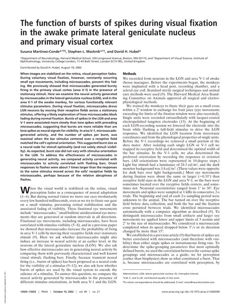 The Function Of Bursts Of Spikes During Visual Fixation In The Awake