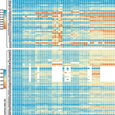 the heatmaps illustrate the rate variations in dn upper layer and ds