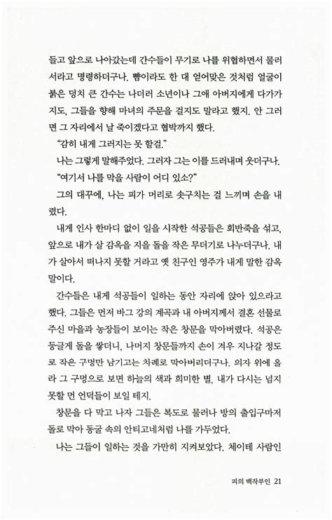 알라딘 미리보기 피의 백작부인