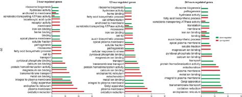 Gene Ontology Based Functional Categorization Of The Differentially