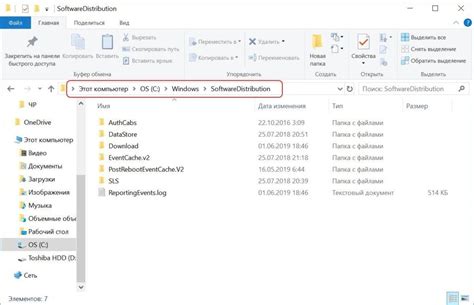 Softwaredistribution Download