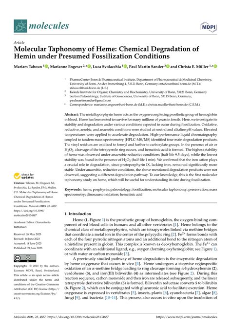 Pdf Molecular Taphonomy Of Heme Chemical Degradation Of Hemin Under