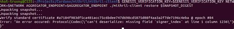 Error When Unpacking Snapshot To Bootstrap Cardano Node By Using