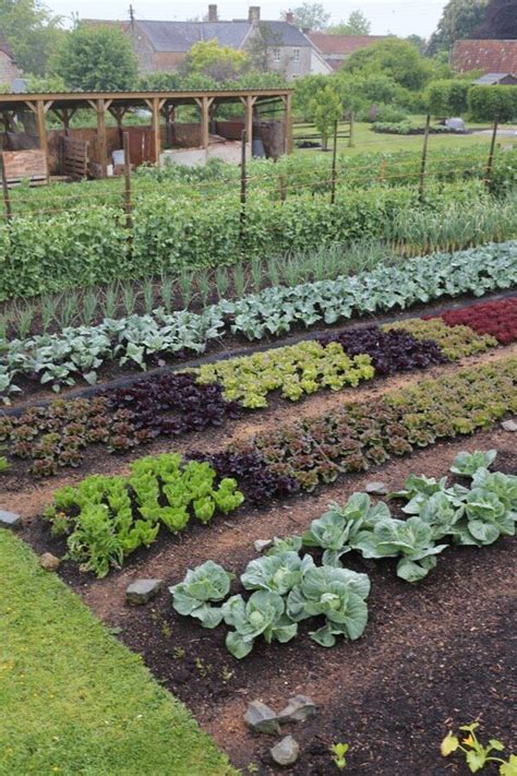 June 2018 New Sowing Planting Rapid Growth Compost Making No Dig